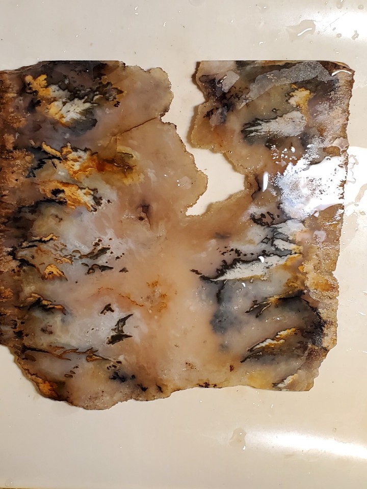 7" Graveyard Point Plume Agate Slab Rough Oregon 454g Gem Lapidary | eBay