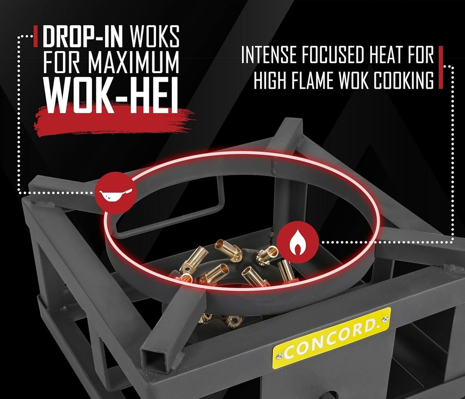 CONCORD The Wok Block 12" Single Propane Outdoor Burner with Built in ...