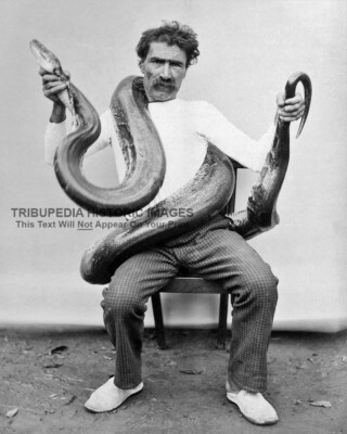 1890s Vintage Photo * Man w/ Snake Around His Neck * Bizarre Odd ...