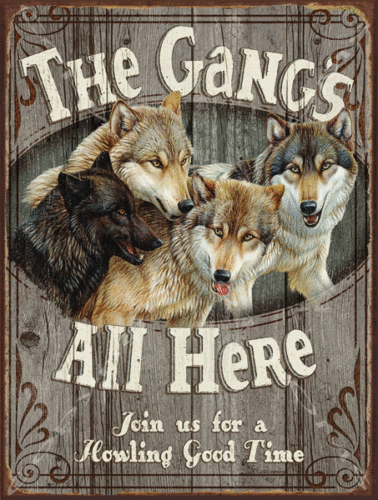 The Gangs All Here Wold Wildlife Animal Nature Home Decor Cabin Metal ...