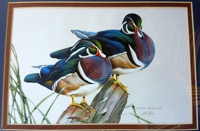 Ducks Unlimited Paintings Jerry Raedeke's " Last Day" 1990 MN Ducks