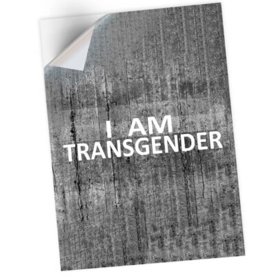 1 x Vinyl Sticker A1 - BW - I Am Transgender LGBT Flag #36197 | eBay UK