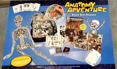 Bone Box Anatomy