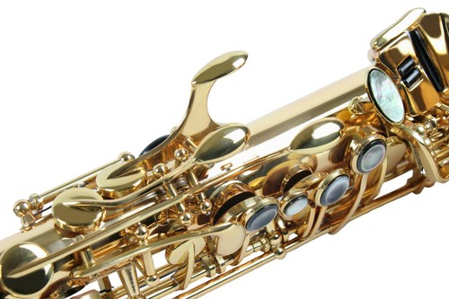 Professional ALTO SAXOPHONE Eb Sax 875 Model Gold Lacquer Real Black ...