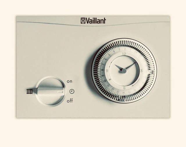 Vaillant timeSWITCH 150 Analogue Timer - 0020116882 for sale online | eBay