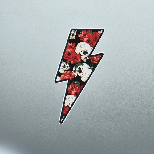 Biker Skull & Roses Lightning Bolt Strike Vinyl Sticker Decal For Car ...