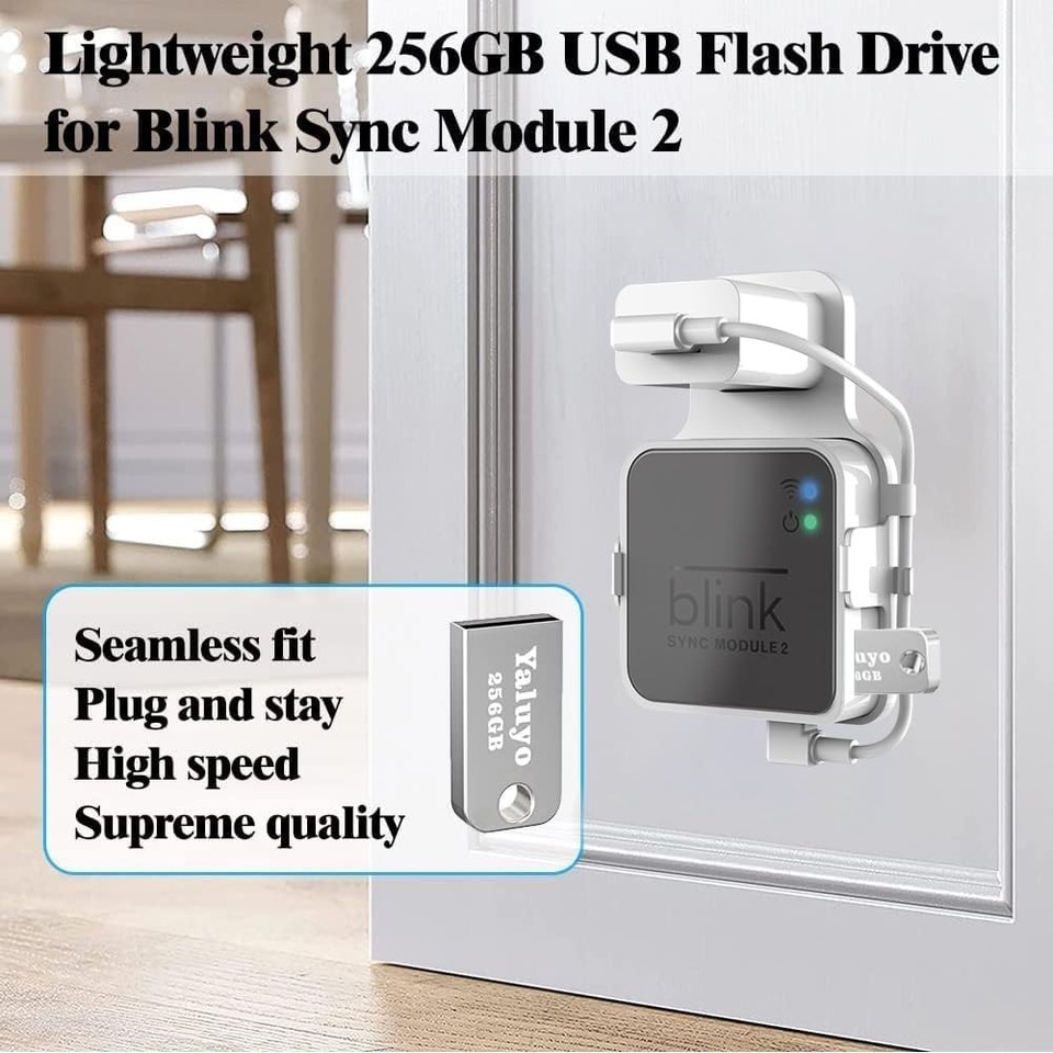 Secure Blink Sync Module 2 Mount with 256GB USB Flash Drive for Video ...