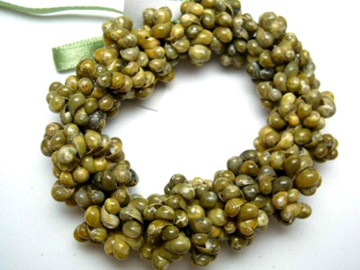 Hawaii Wedding Graduation Mongo Shell Luau Hula Jewelry Bracelet #24047 ...