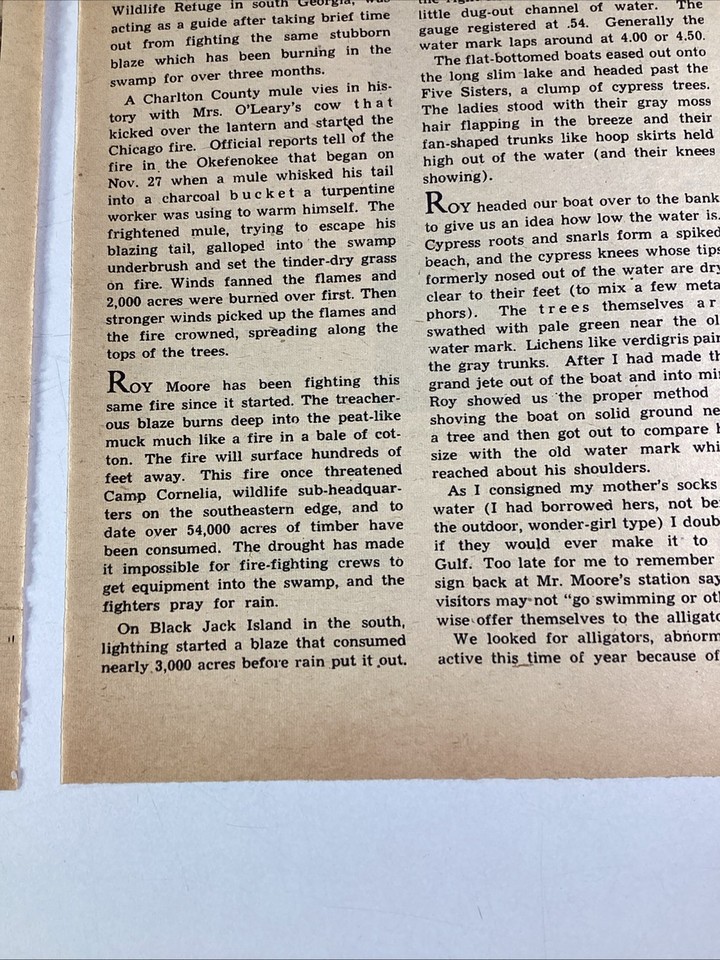 Okefenokee Swamp Fire Print Article 1955 Atlanta AJC Billy’s Lake Roy ...