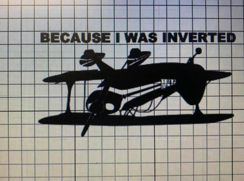 Inverted Pitts Biplane | eBay