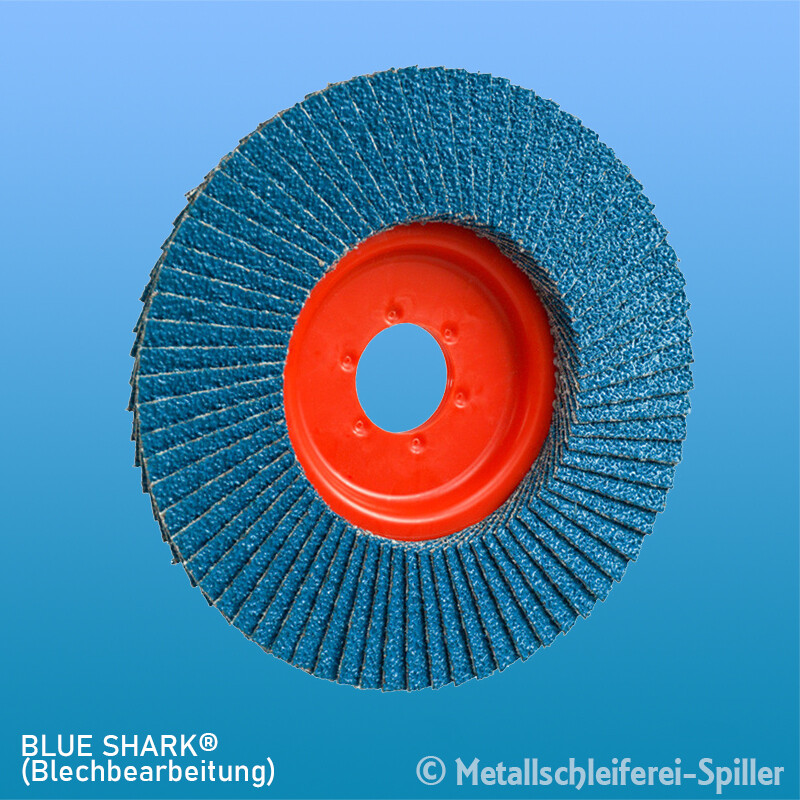 Eisenblätter Fächer Schleifscheibe, Fächerscheibe, Lamellenscheibe ...
