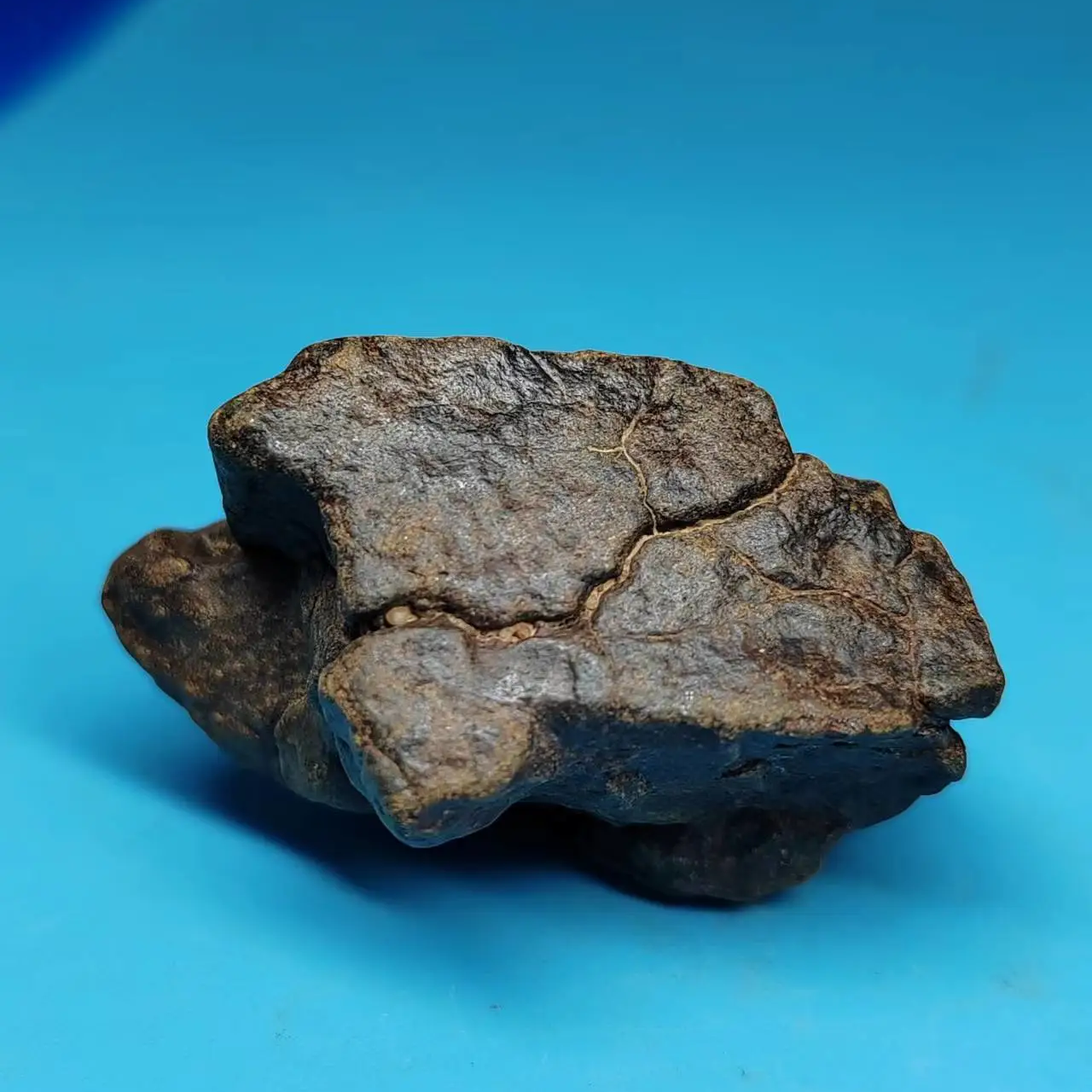 28.8g NICELY CRUSTE NWA fresh crust and matrix CHONDRITE METEORITE | eBay