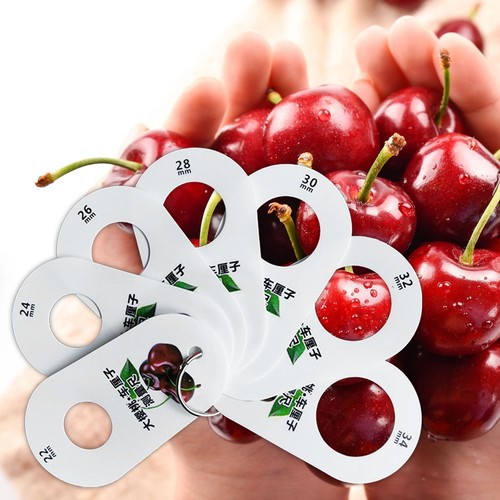 Cherry Fruit Caliper 7 Holes Ruler for Fruits for Fresh Fruit | eBay