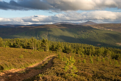 Photo 6x4 Woodland on Creagan Riabhach Bridge of Gairn The edge of the ...