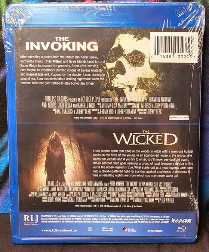 The Invoking / The Wicked (Blu-ray, 2013) 14381002751 | eBay