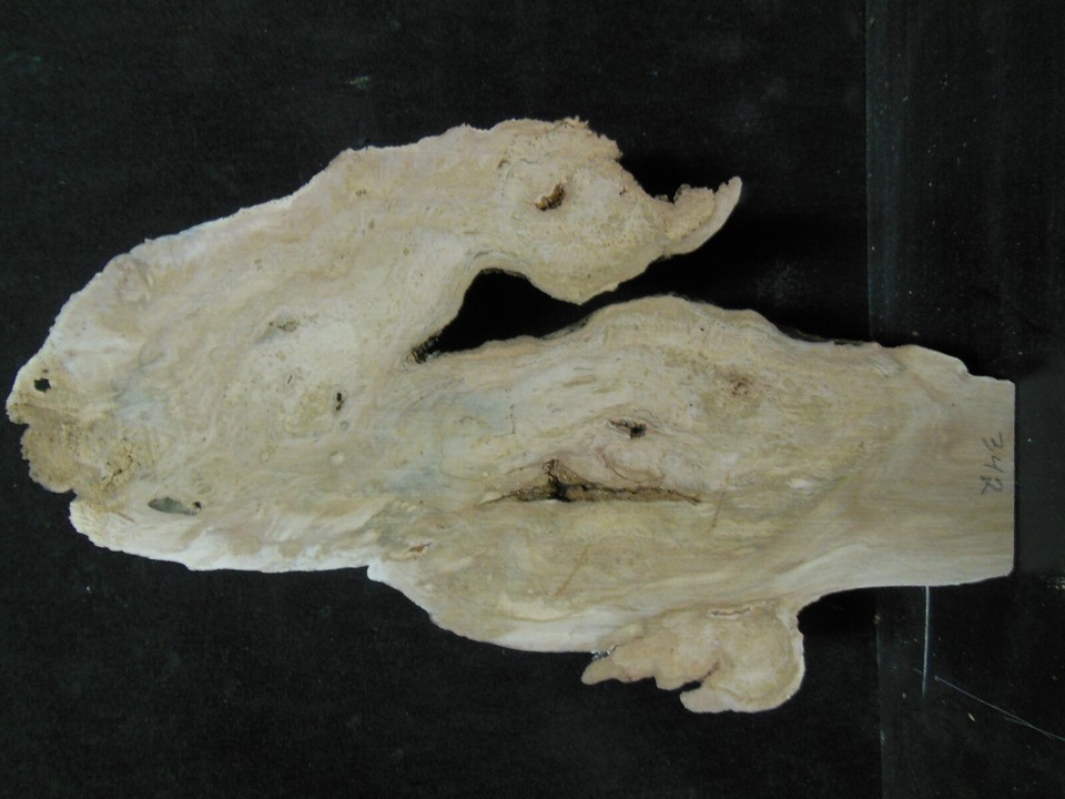 S=342 Black Cherry Burl Slab _ 12"x7"x1" | eBay