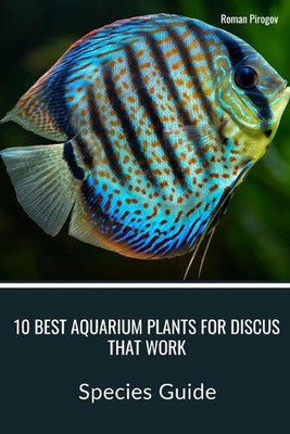 10 Best Aquarium Plants for Discus that Work: Species Guide by Roman ...