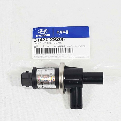 Genuine Oem 3143029200 Canister Close Valve For Hyundai Santa fe 2000 ...