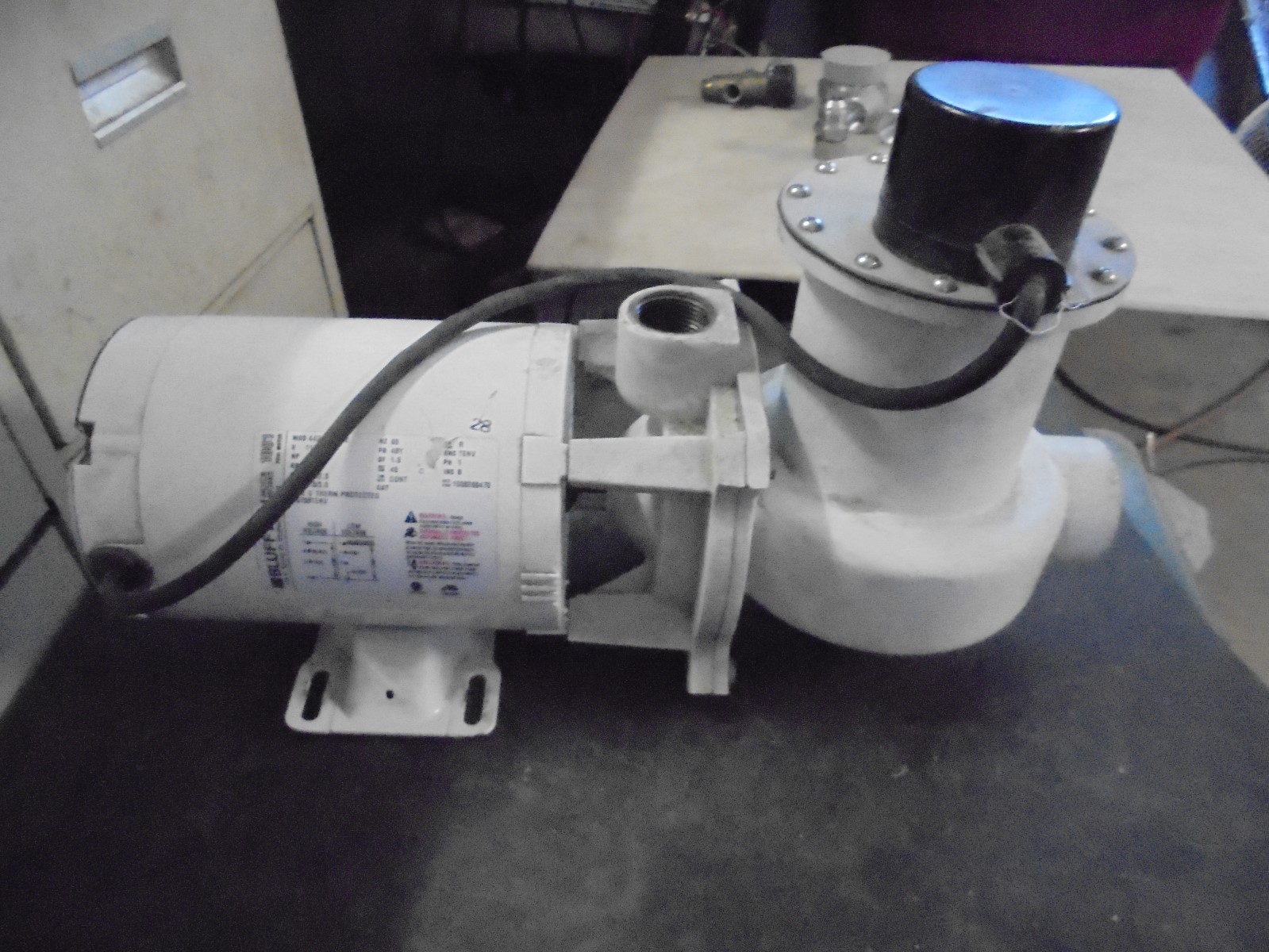 Bluffton Pool WELL Pump Motor 1081 .33 HP 115/230V | eBay