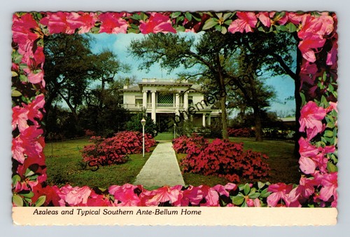 Postcard Typical Southern Ante-Bellum Home Surrounded by Azaleas ...