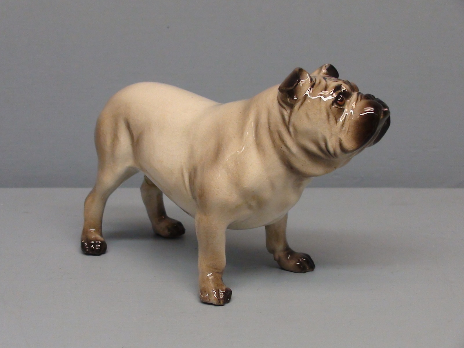 Gorgeous Test Color Hagen Renaker DW English Bulldog Winston Maxine ...