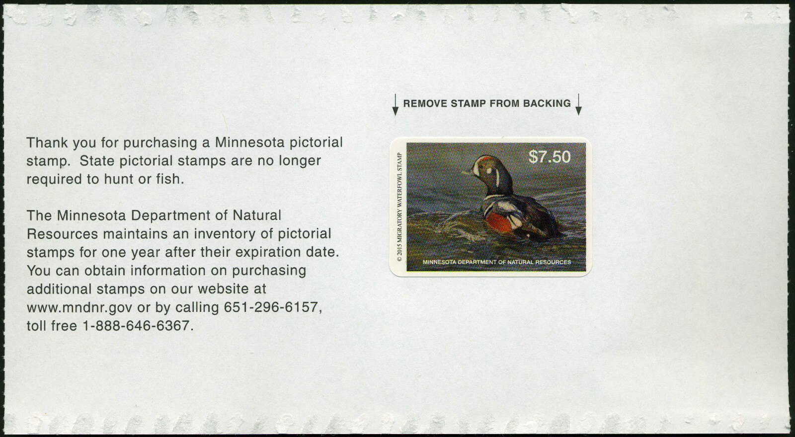MINNESOTA #39 2015 STATE DUCK STAMP HARLEQUIN DUCK BY Scot Storm | eBay
