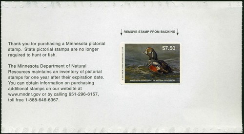 MINNESOTA #39 2015 STATE DUCK STAMP HARLEQUIN DUCK BY Scot Storm | eBay