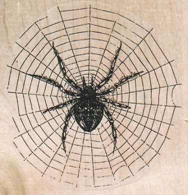 Spider On Web 3 x 3" Rubber Stamp, Halloween Stamp, Halloween Crafts | eBay
