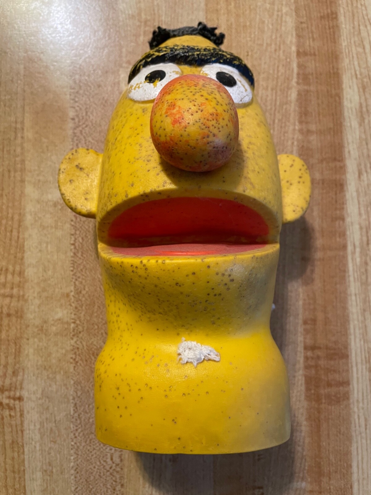 Sesame Street Bert Head