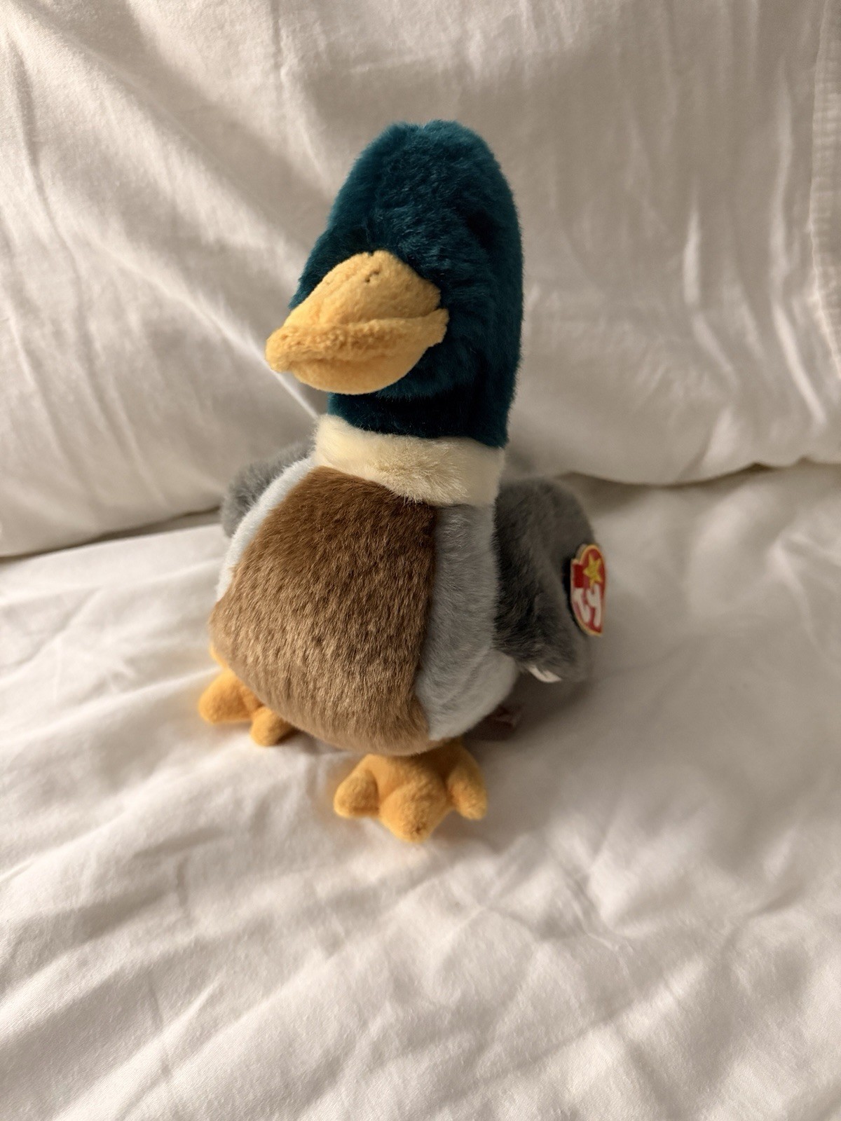 Ty Beanie Baby Jake The Mallard Drake Duck 1997 w/98 Rare Red Stamp Tag ...