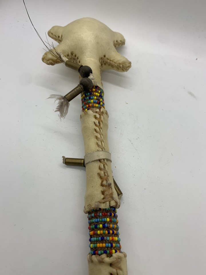 Native American Turtle Shap Rattle For Gourd Dance. Cert. Of Auth ...