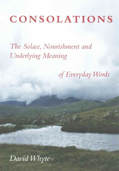 Consolations : The Solace, Nourishment, and the Underlying Meaning of ...