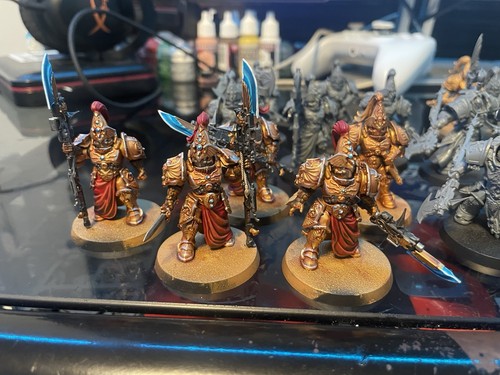 Games Workshop Warhammer 40K Adeptus Custodes Well Painted Full Army ...