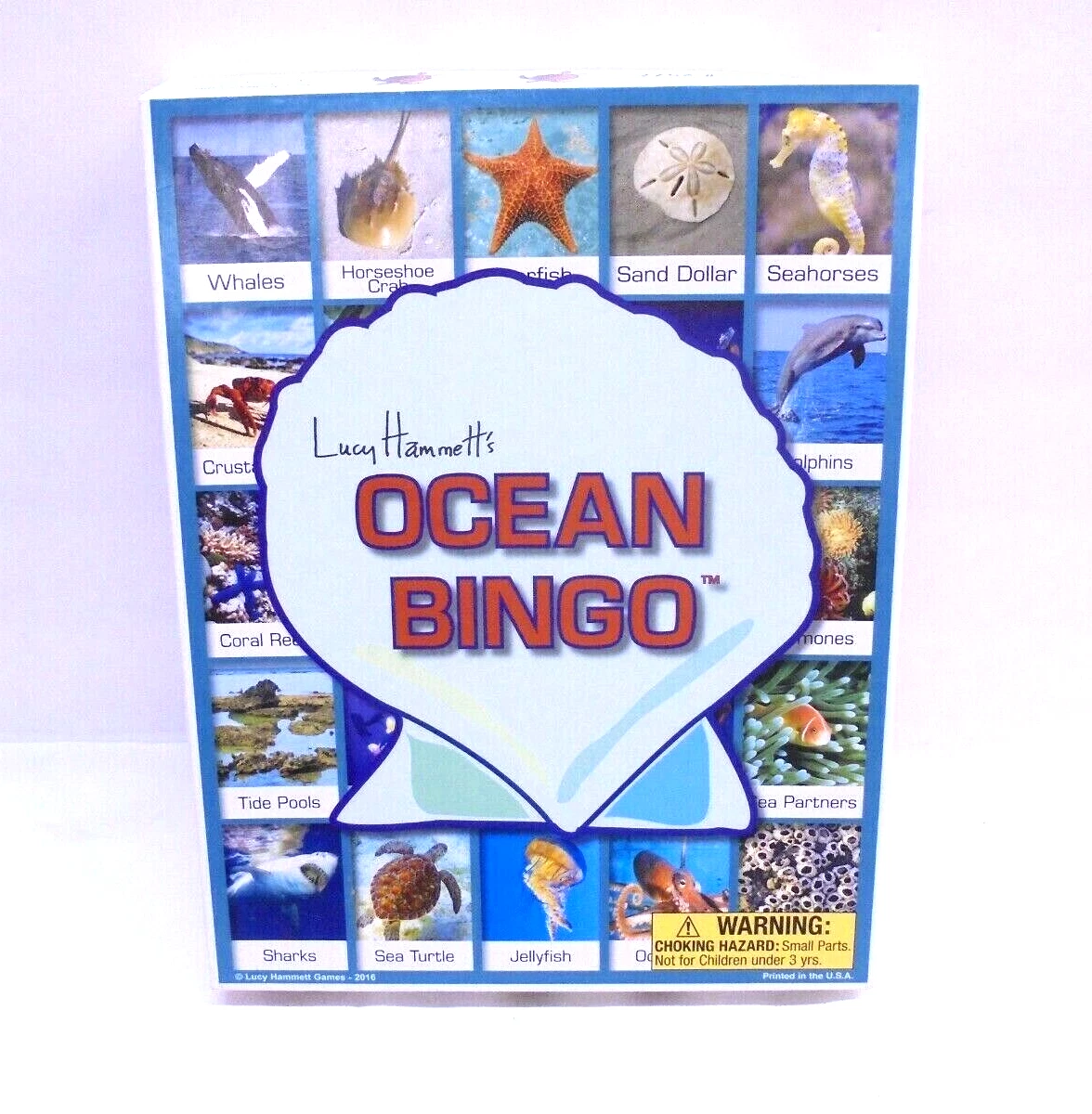 CORAL REEF BINGO & Memory Matching Card Game Activity👎 Explore o ...