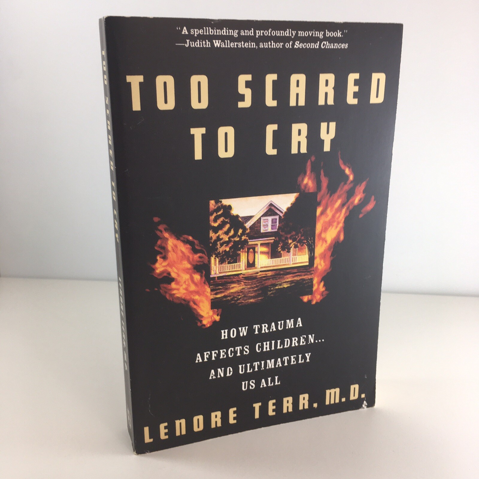 Too Scared to Cry: Psychic Trauma in Childhood by Lenore Terr; M.D ...
