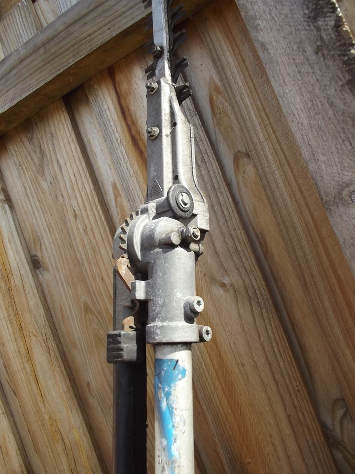 SHINDAIWA Long Shafted Hedge Trimmer M243S | eBay Australia