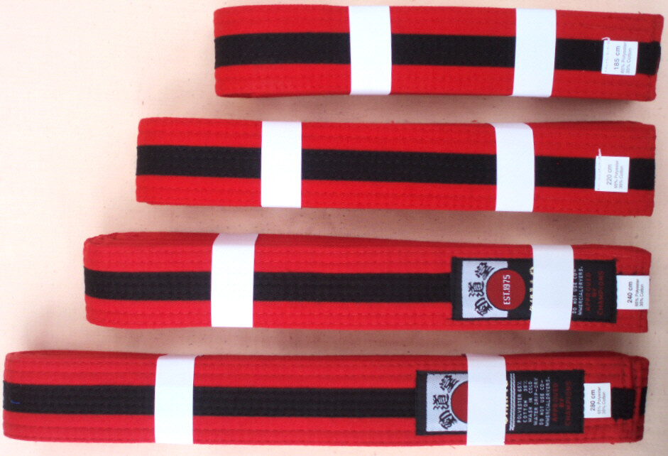 STRIPED BELTS - for Taekwondo - Karate & most Martial Arts - GREAT ...