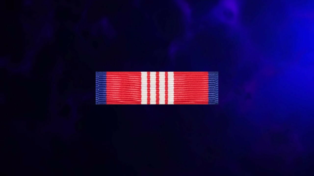 COAST GUARD MERITORIOUS TEAM COMMENDATION US ARMY MARINES NAVY AIR ...