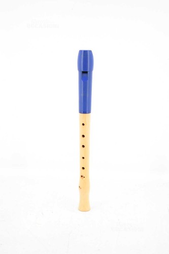 Blue Wood And Plastic Flute Moeck | eBay