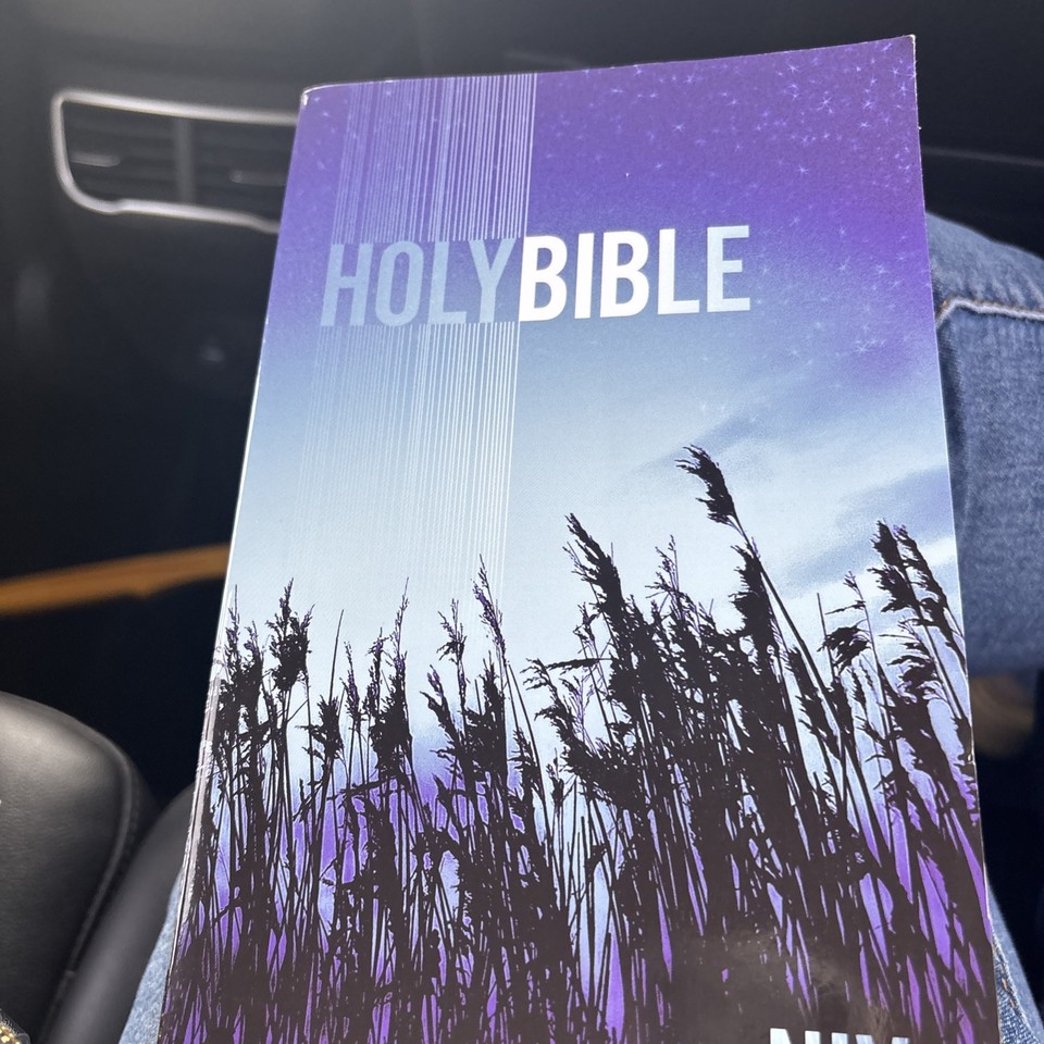 NIV International Version Holy Bible 1984 Biblica Zondervan Soft Cover ...