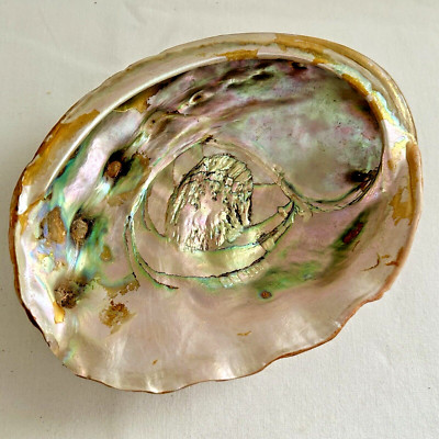 Natural Abalone Seashell Smudging Dish Bowl Footed Incense Burner | eBay