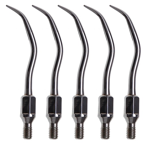 5pcs Dental Scaler Tip GK1 fit Sonicflex # 8 Universal Perio scaling ...