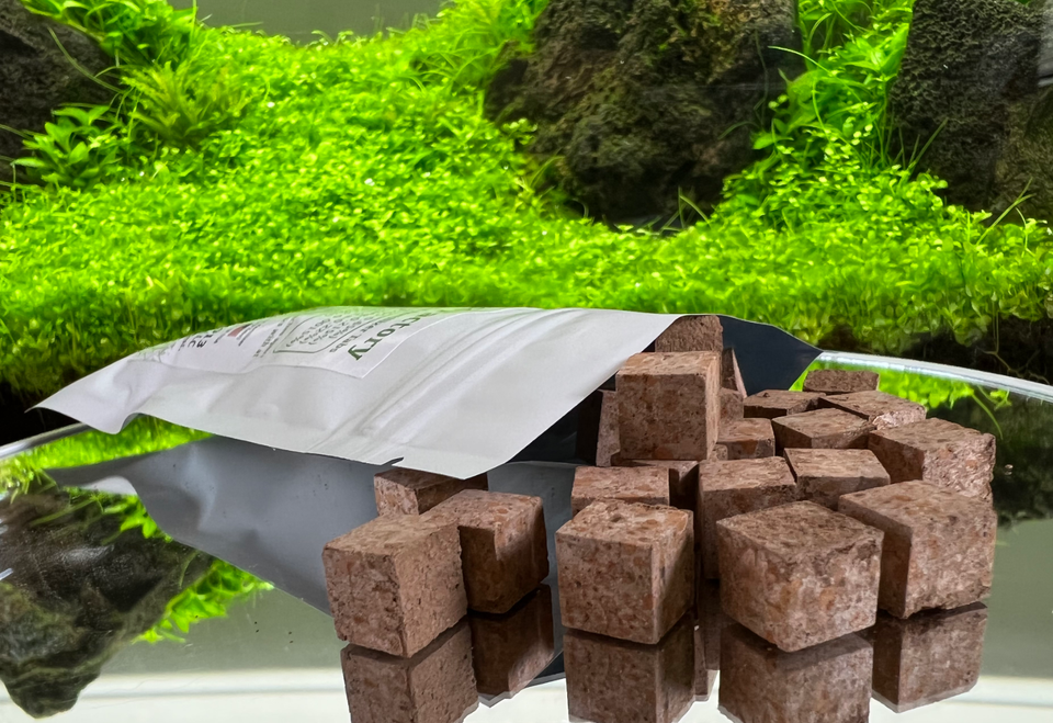 20x Substrate Fertilizer Tabs Glosso Factory Planted Aquarium Root ...