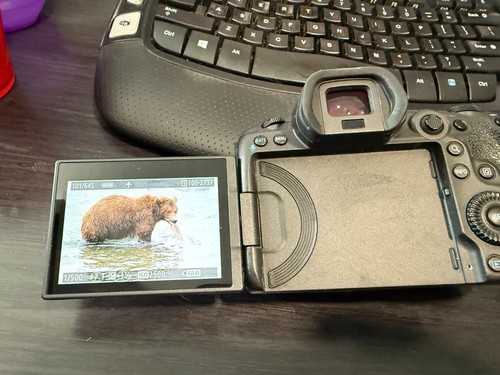 Canon EOS R5 45MP Mirrorless Digital Camera Body [Parts/Repair] | eBay