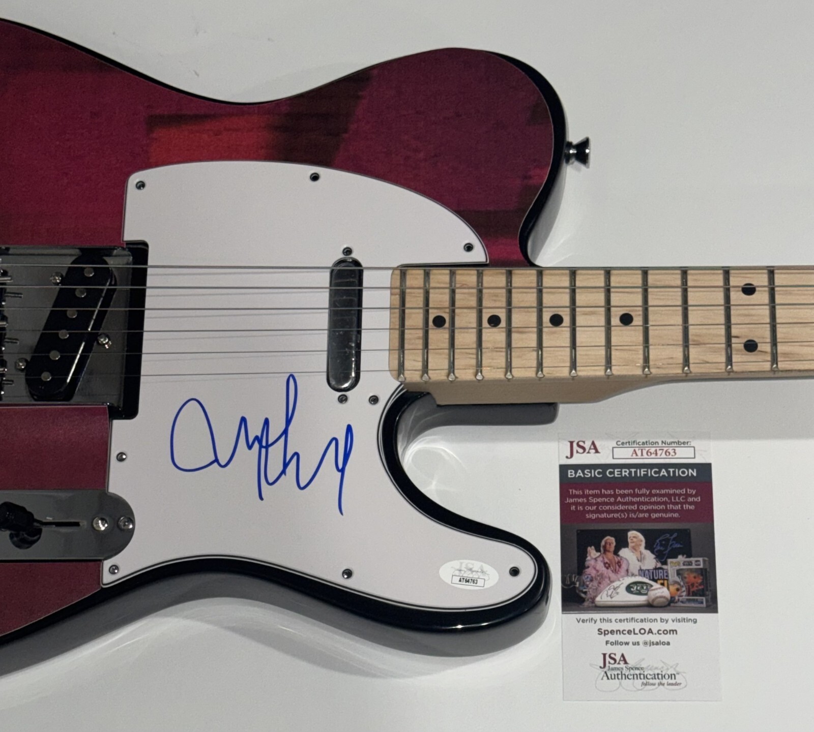 MIKE MCCREADY SIGNED CUSTOM PEARL JAM TEN ELECTRIC GUITAR AUTOGRAPHED ...