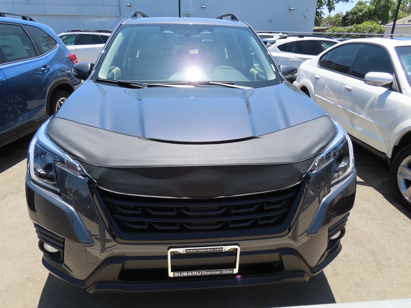 2022 Subaru Forester Bra