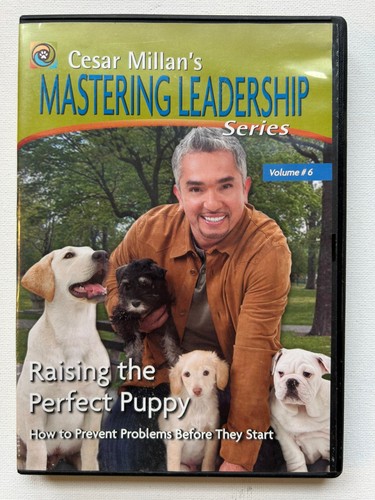 Cesar Millan's DVD Mastering Leadership Volume 6 Raising the Perfect ...