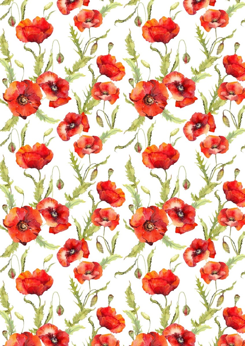 Red Poppy Flower Wallpaper