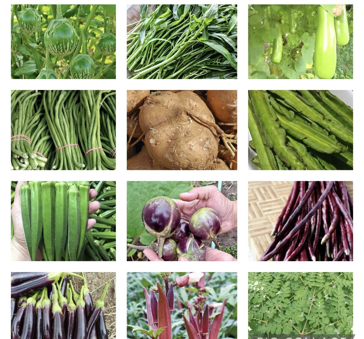 20 Packets Asian Vegetable Seeds for Planting.NON GMO | eBay