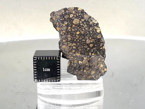 NWA 16160 CV3 8g Carbonaceous Meteorite with Polished Window, dated 4.5 ...